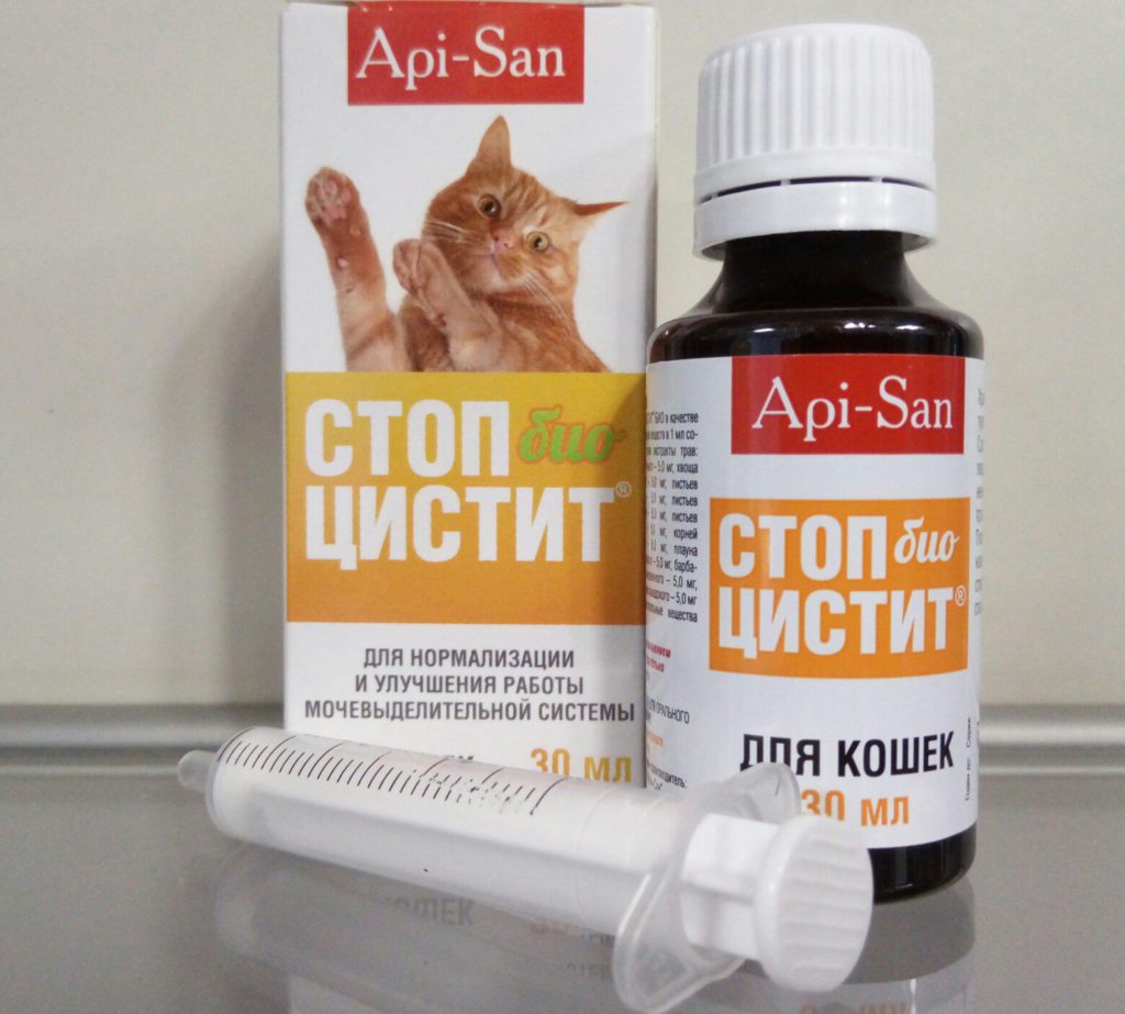 Стоп-цистит для кошек: инструкция, цена таблеток и суспензии